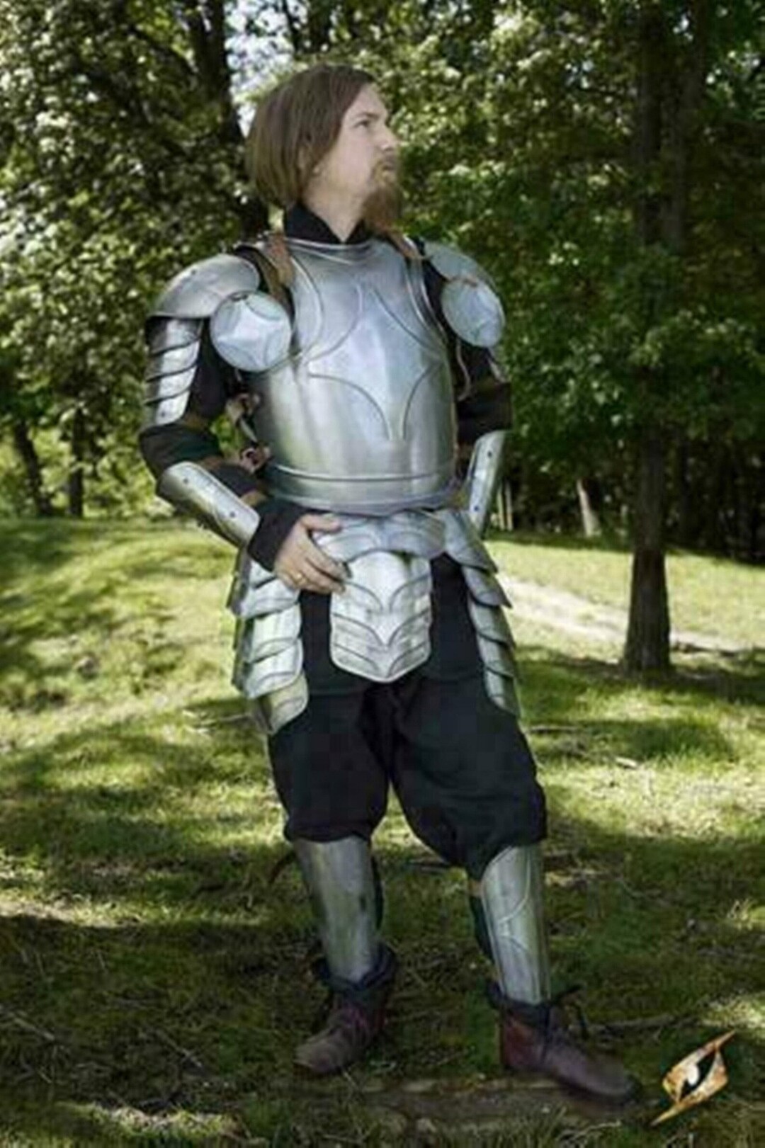 Medieval Half Body King's Armour Suit - Etsy