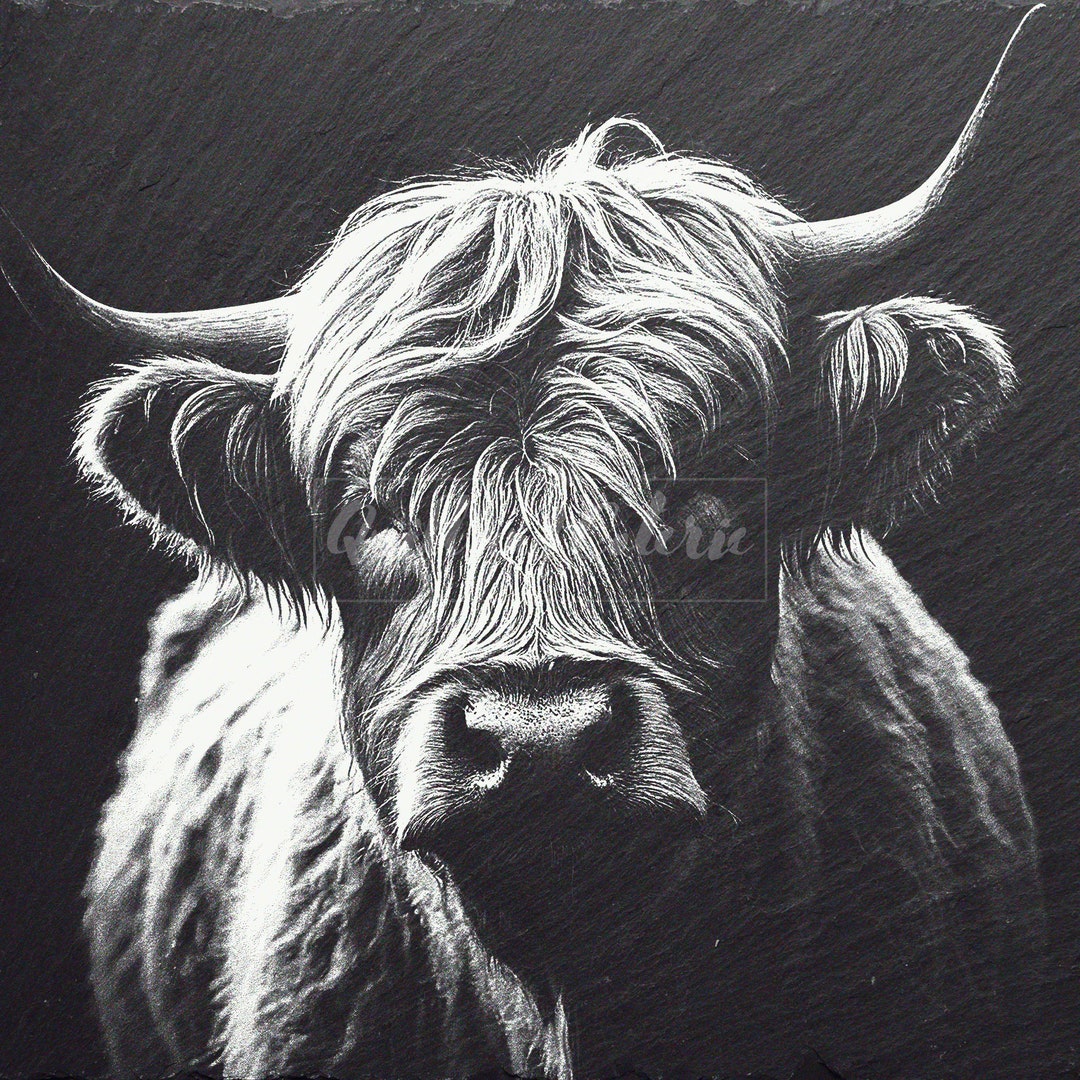 Highland Cow Png File for Slate Laser Engraving, Glowforge File ...
