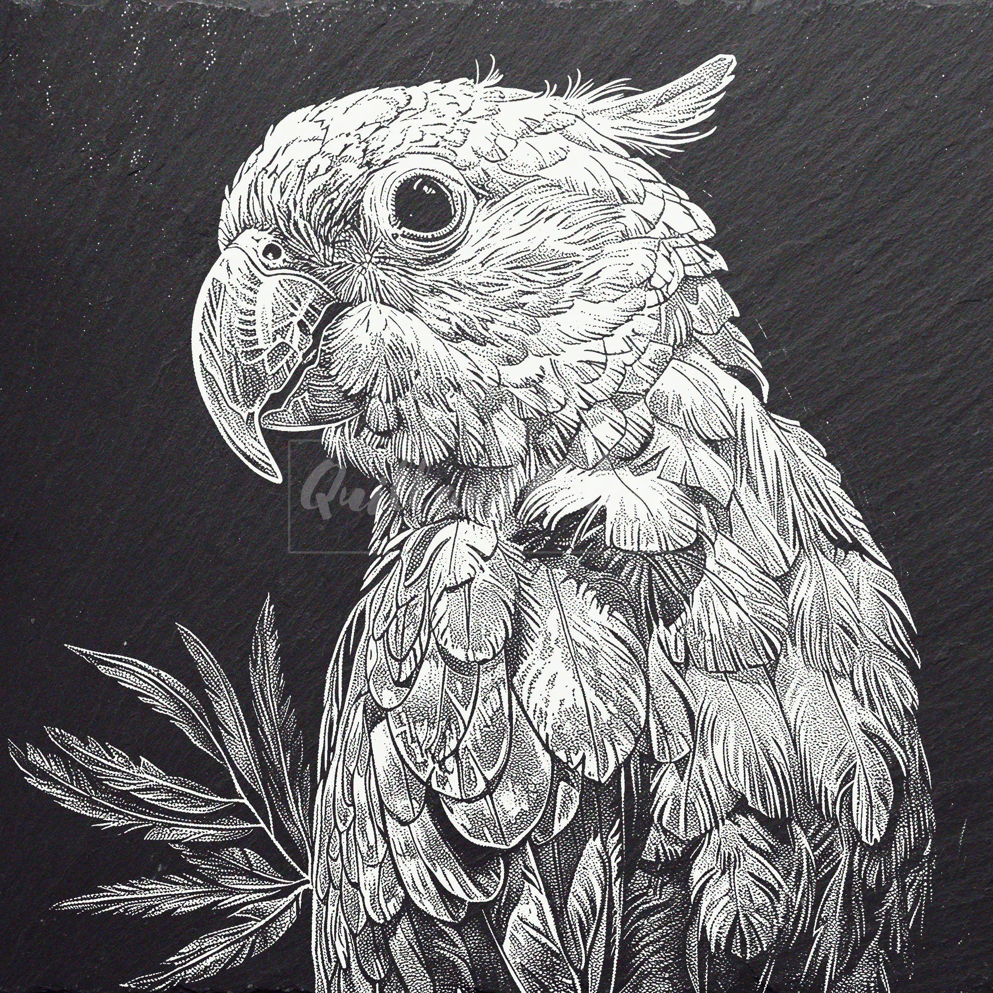 Parrot Png File for Slate Laser Engraving, Glowforge File, Lightburn ...