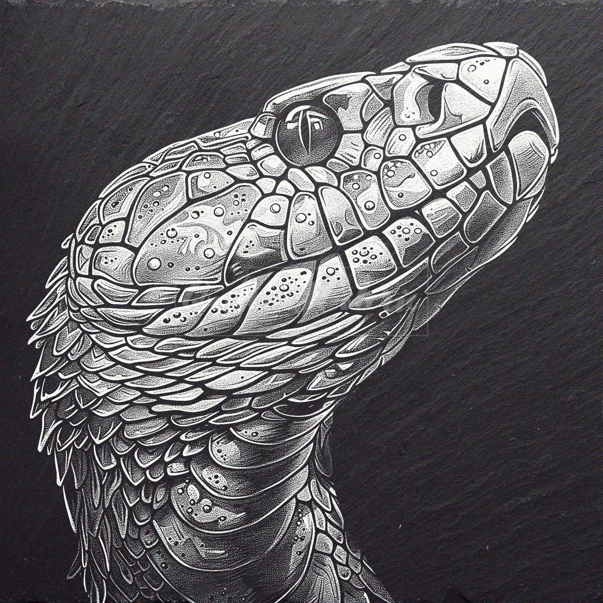 Snake Png File for Slate Laser Engraving, Glowforge File, Lightburn Png ...