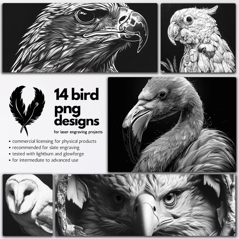 Bird Engraving - Etsy