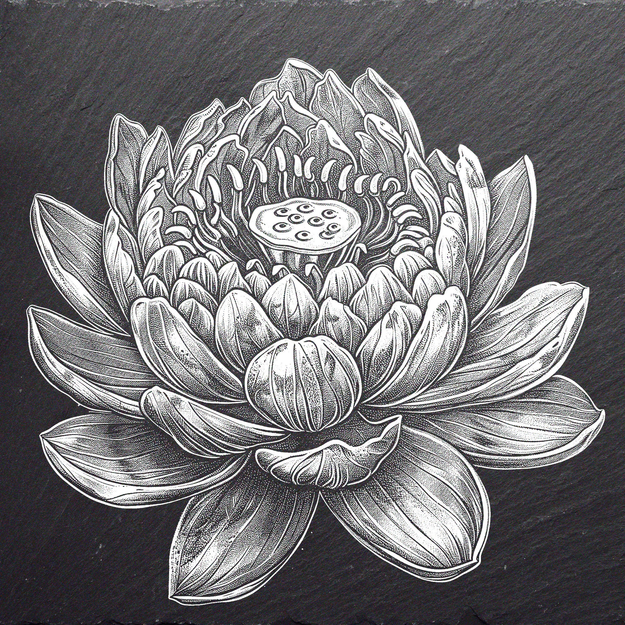 Lotus Flower Png File for Slate Laser Engraving, Glowforge File ...