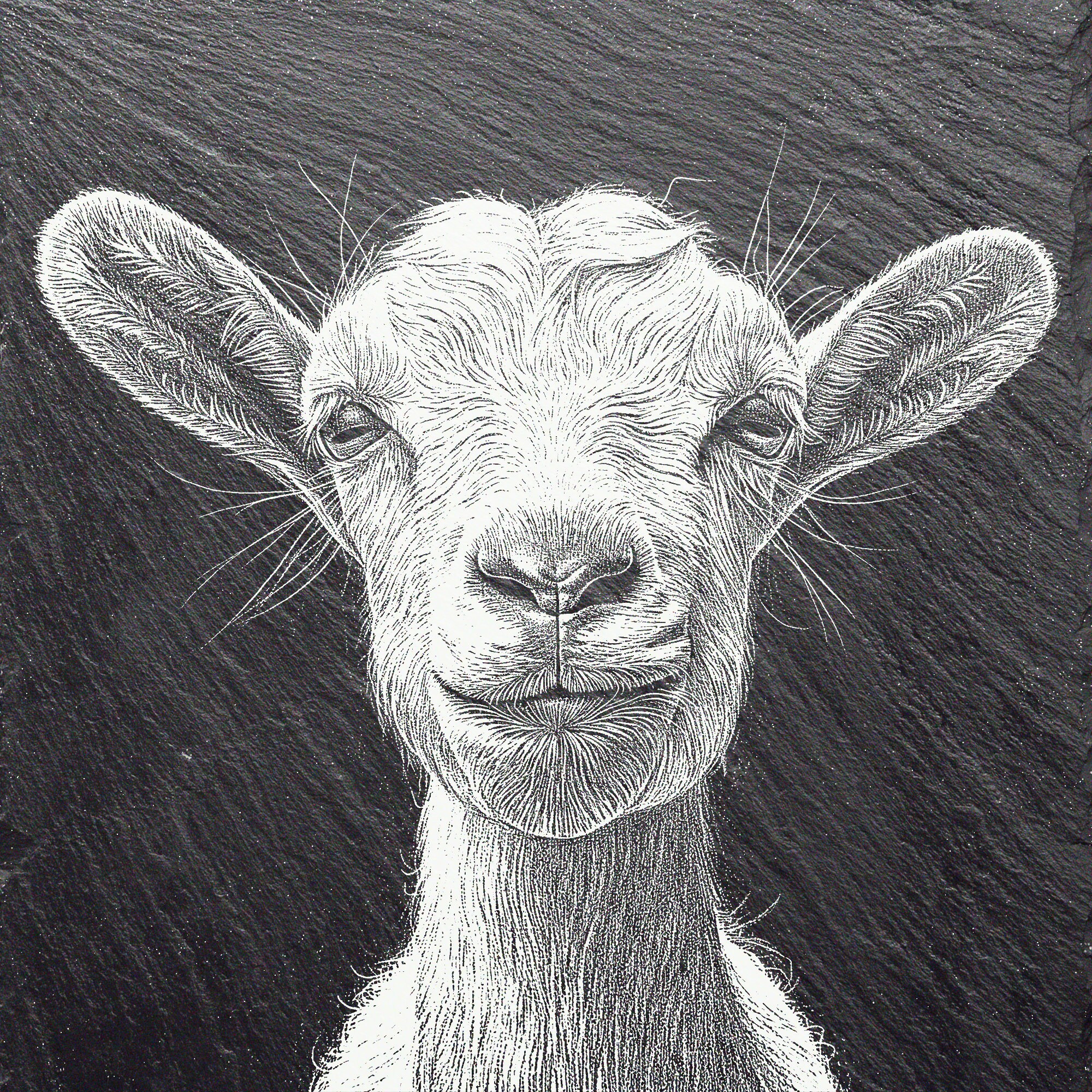 Goat Png File for Slate Laser Engraving, Glowforge File, Lightburn Png ...