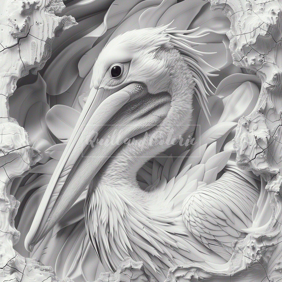 Pelican Png File for Laser Engraving, Glowforge File, Lightburn Png, 3d ...