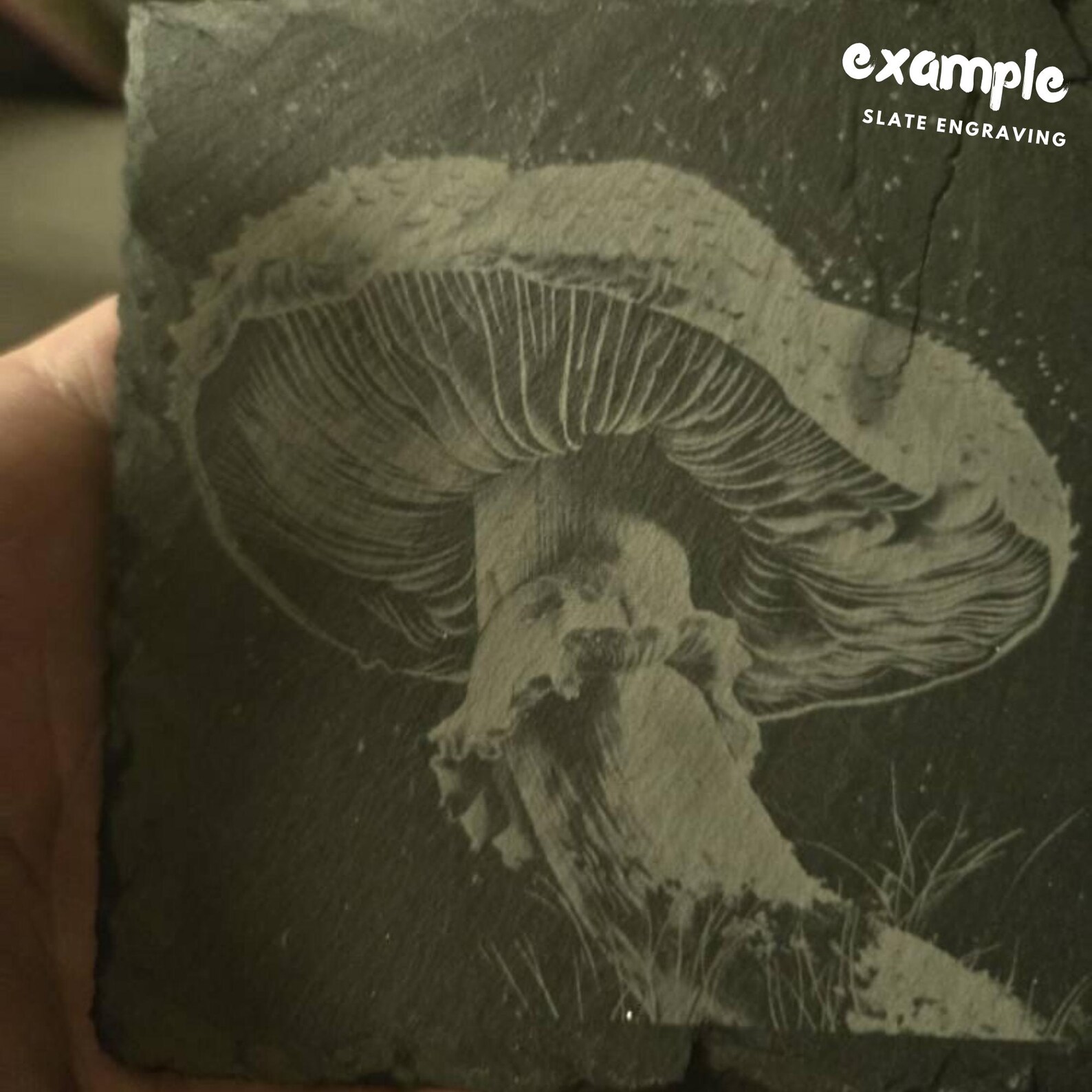 Catfish Png File for Slate Laser Engraving, Glowforge File, Lightburn ...