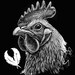 Chicken Png File for Slate Laser Engraving, Glowforge File, Lightburn ...