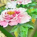 16" X 24" Plumb Blossoms - Etsy