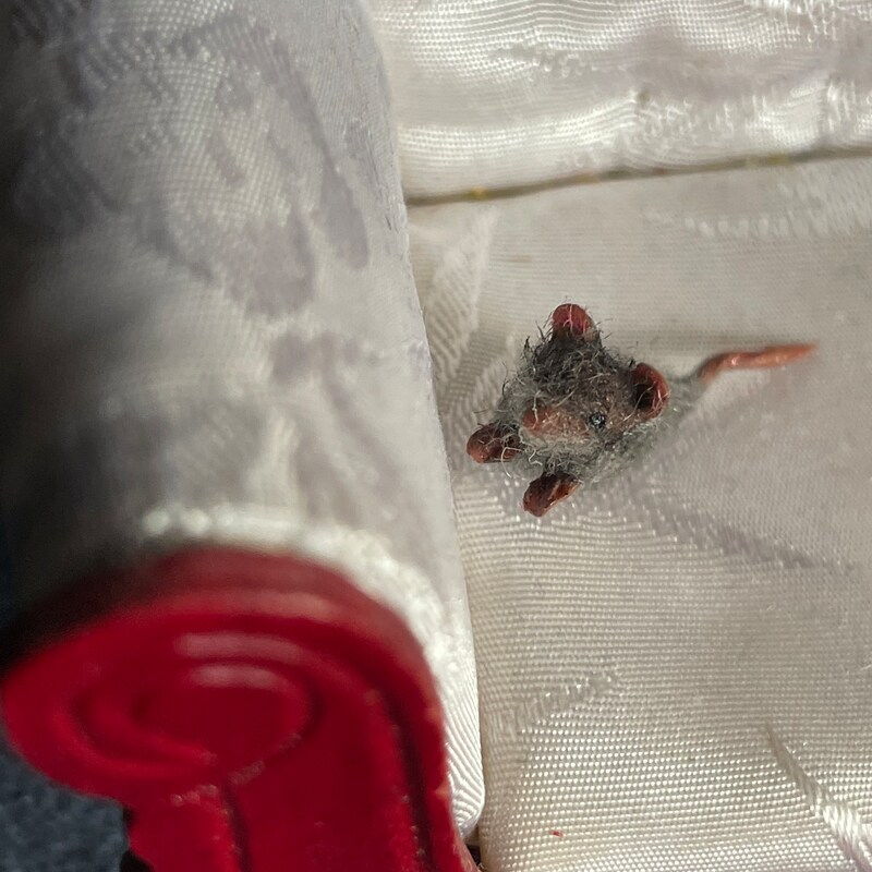 Realistic Miniatures - Etsy