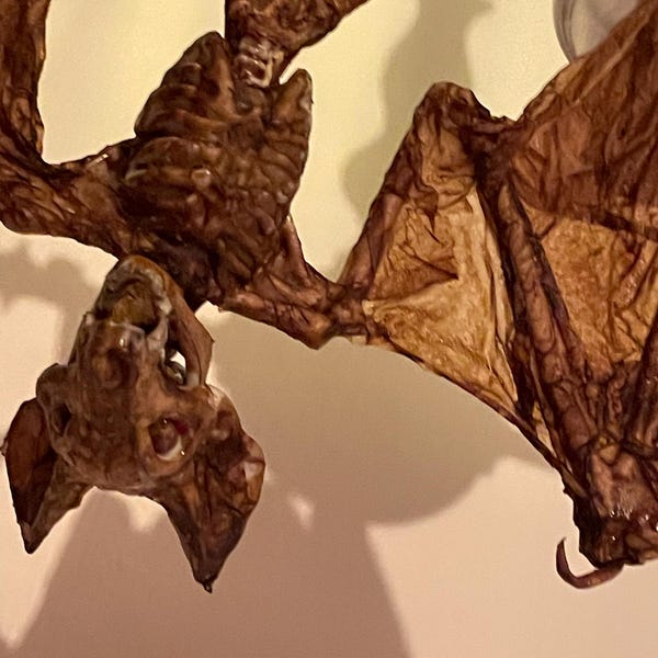 Mummified - Etsy