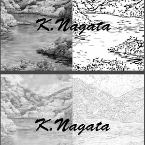 Grayscale Drawing to Color PDF Downloadable and Printable at Will 4 ...