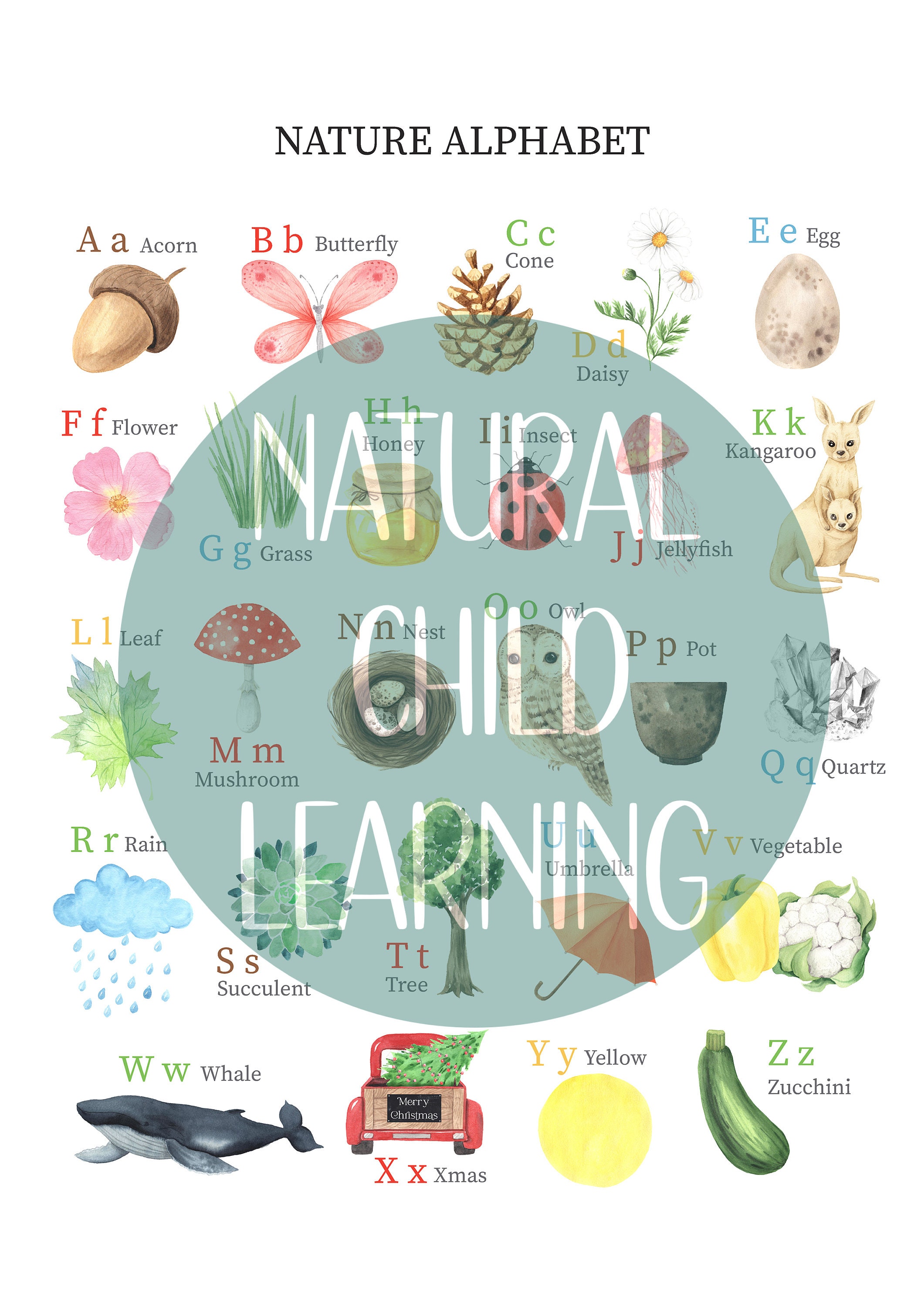 Nature Alphabet Poster for Toddlers, Learning, Toddler Learning, Nature ...
