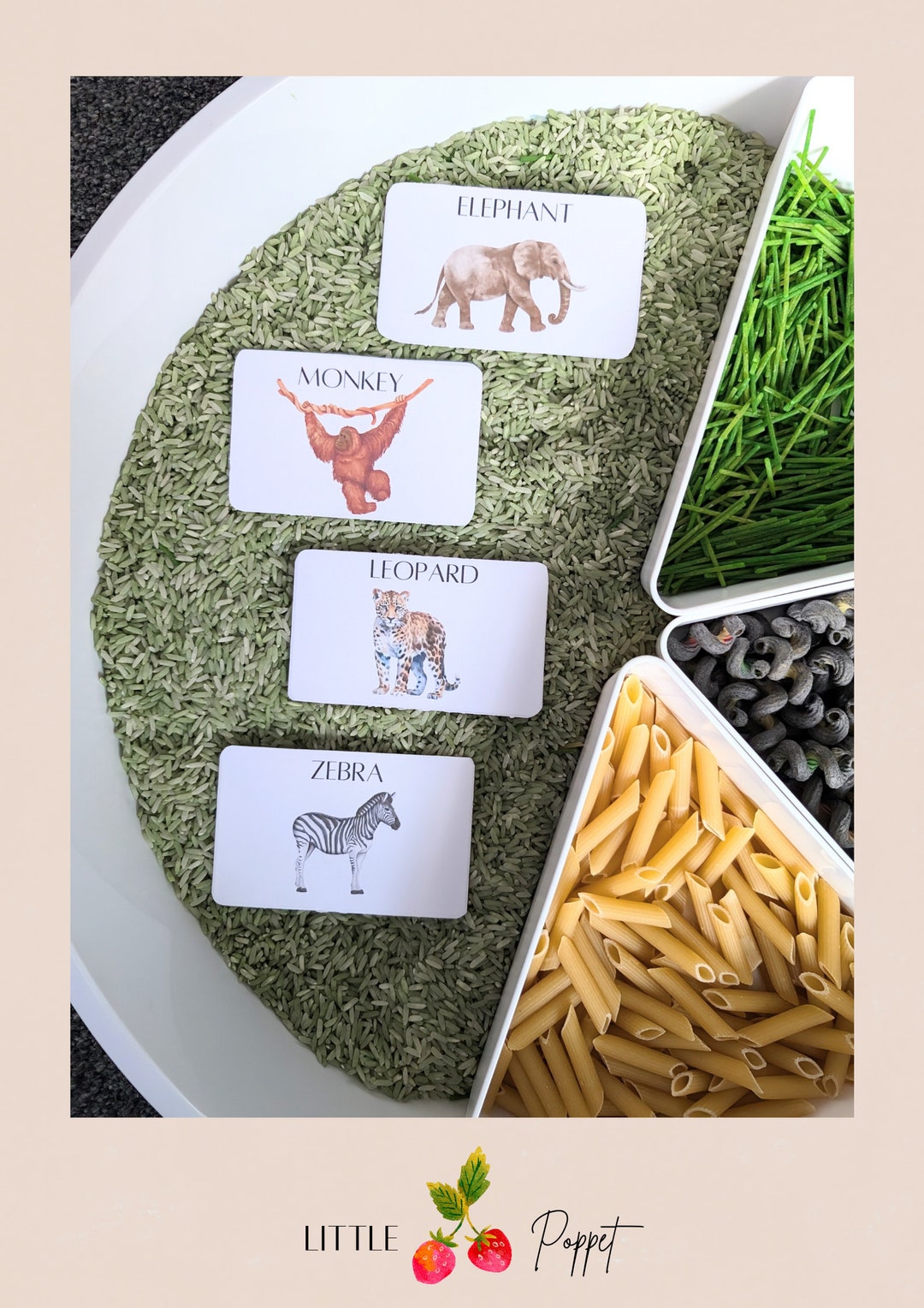 Set of 8 Zoo Animal Learning Cards Zoo Animal Learning Resources ...