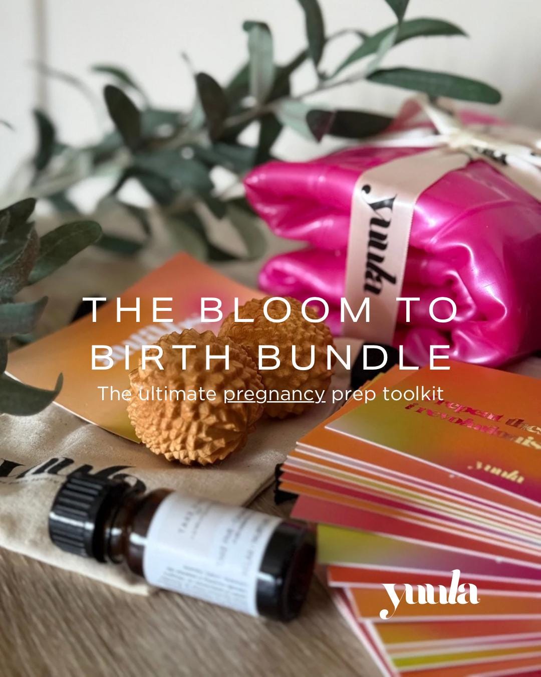 The Bloom to Birth Bundle Pregnancy Toolkit - Etsy