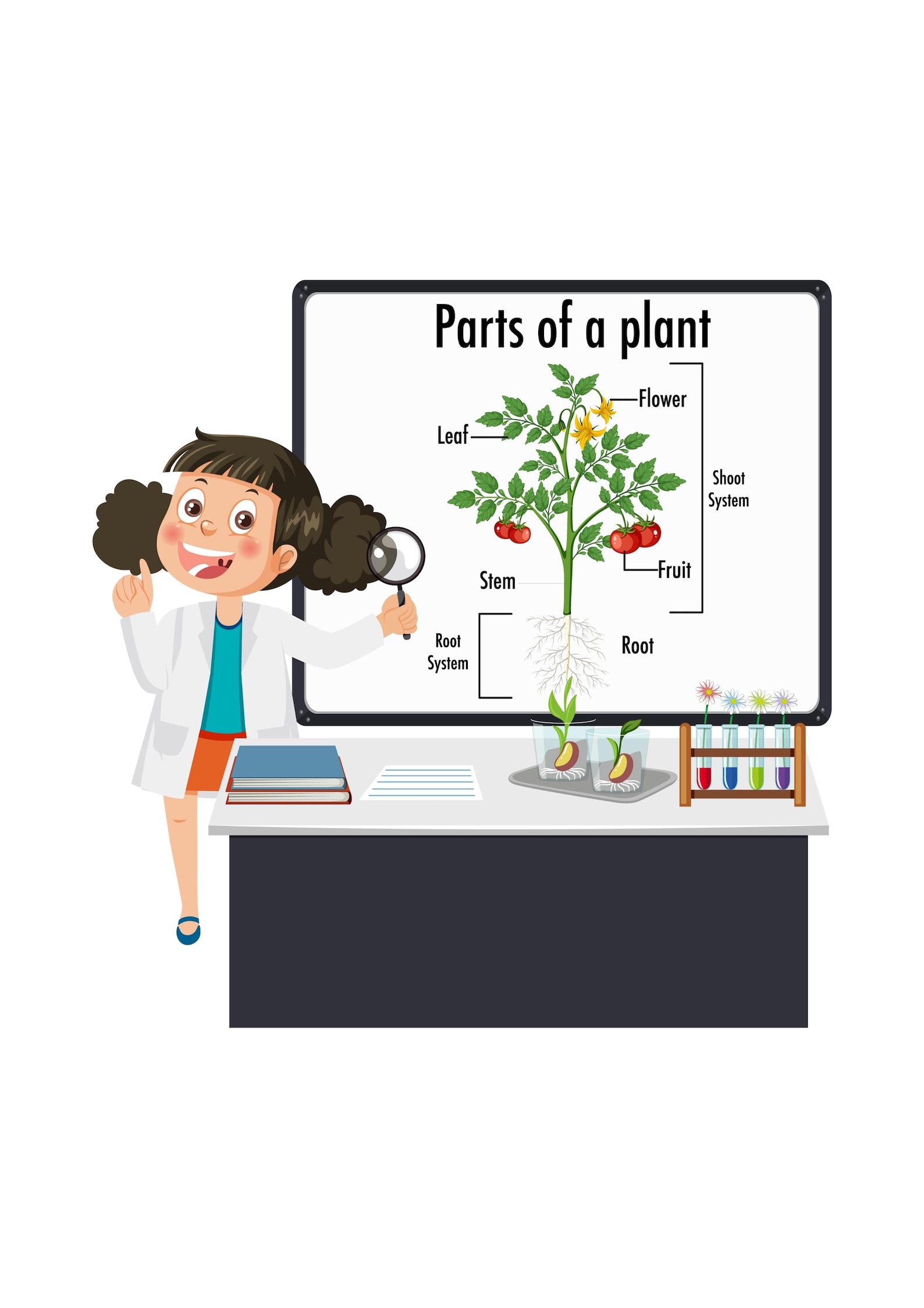 Printable Plant Parts Flashcards | Educational Botanical Cards ...