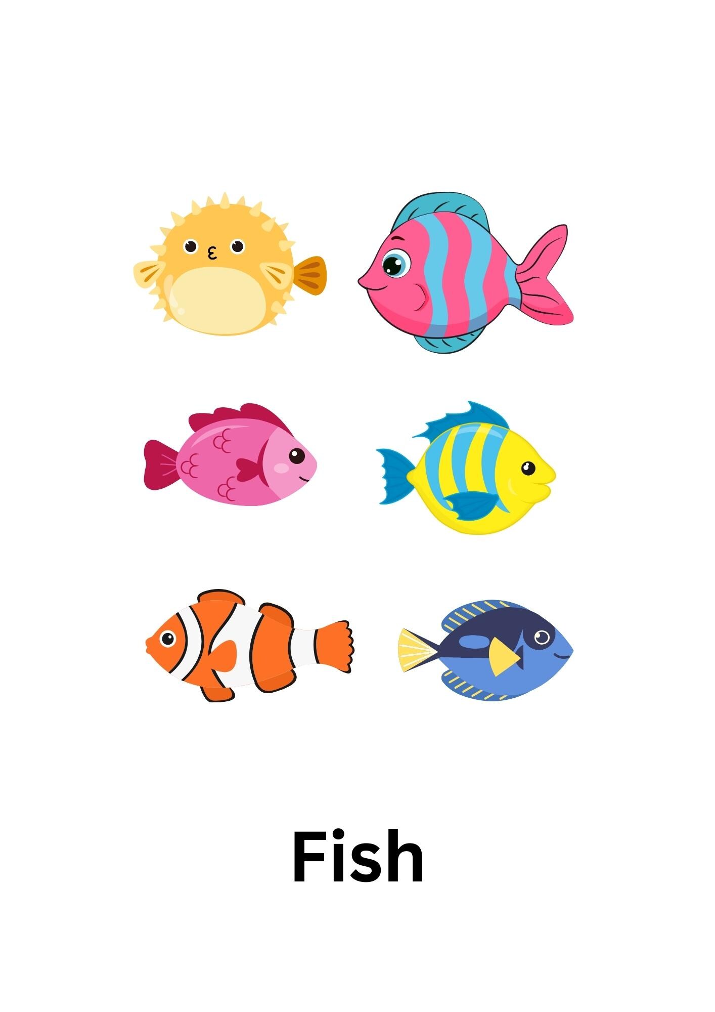 Animal Classes Flashcards for Kids | 20 Images | Editable PDF ...