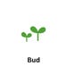 Printable Plant Parts Flashcards | Educational Botanical Cards ...