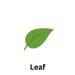 Printable Plant Parts Flashcards | Educational Botanical Cards ...