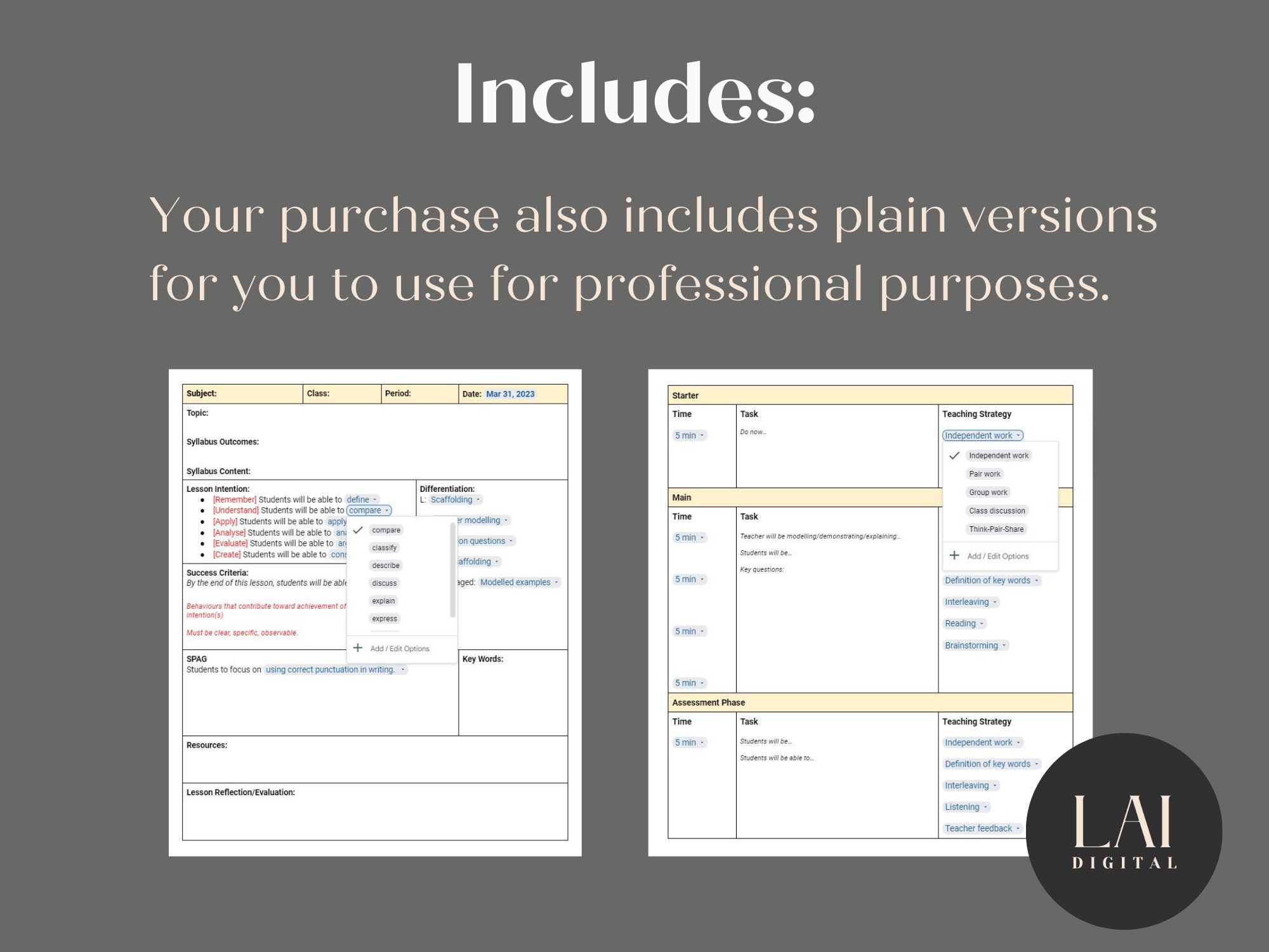Editable Daily Lesson Plan Template With Dropdown Suggestions for Quick ...