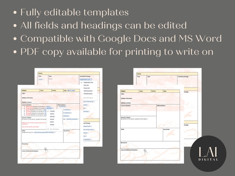 Editable Daily Lesson Plan Template With Dropdown Suggestions for Quick ...