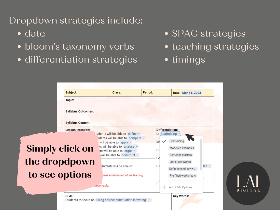 Editable Daily Lesson Plan Template With Dropdown Suggestions for Quick ...