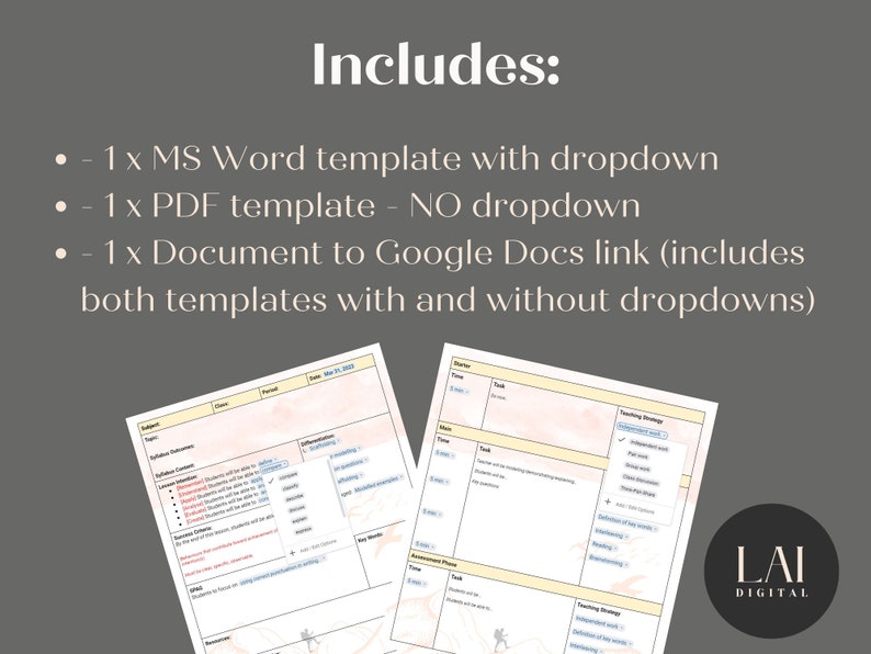 Editable Daily Lesson Plan Template With Dropdown Suggestions for Quick ...