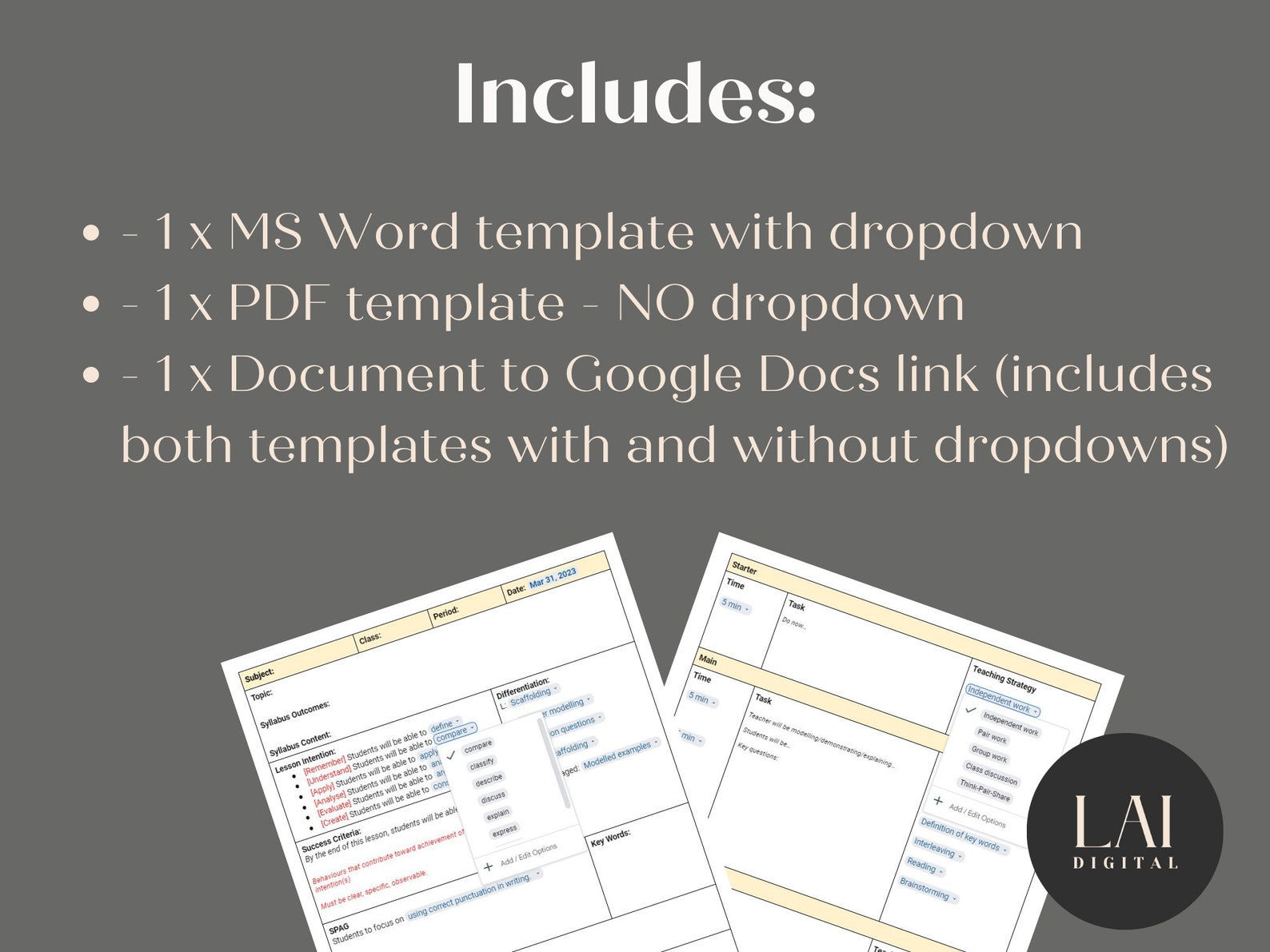 Editable Daily Lesson Plan Template | Dropdown Suggestions for Quick ...