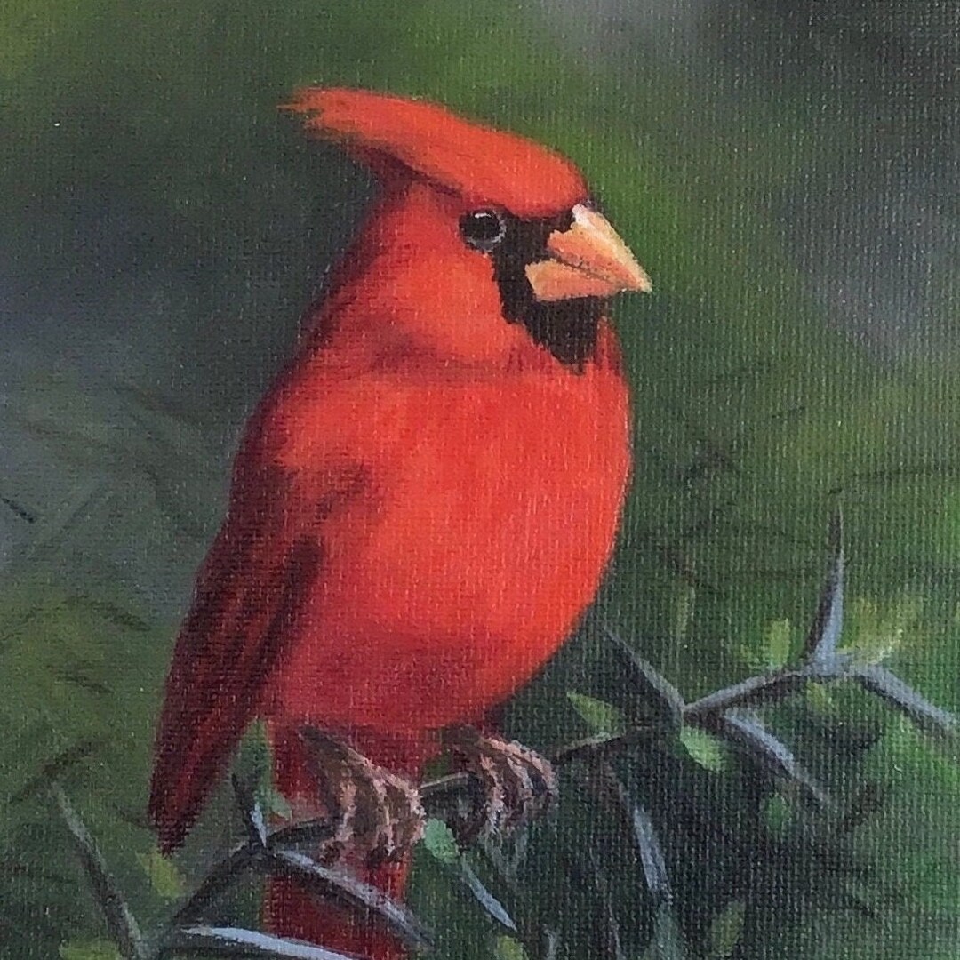 Red Cardinal Oil Painting on Canvas Panel, Original Artwork, American ...
