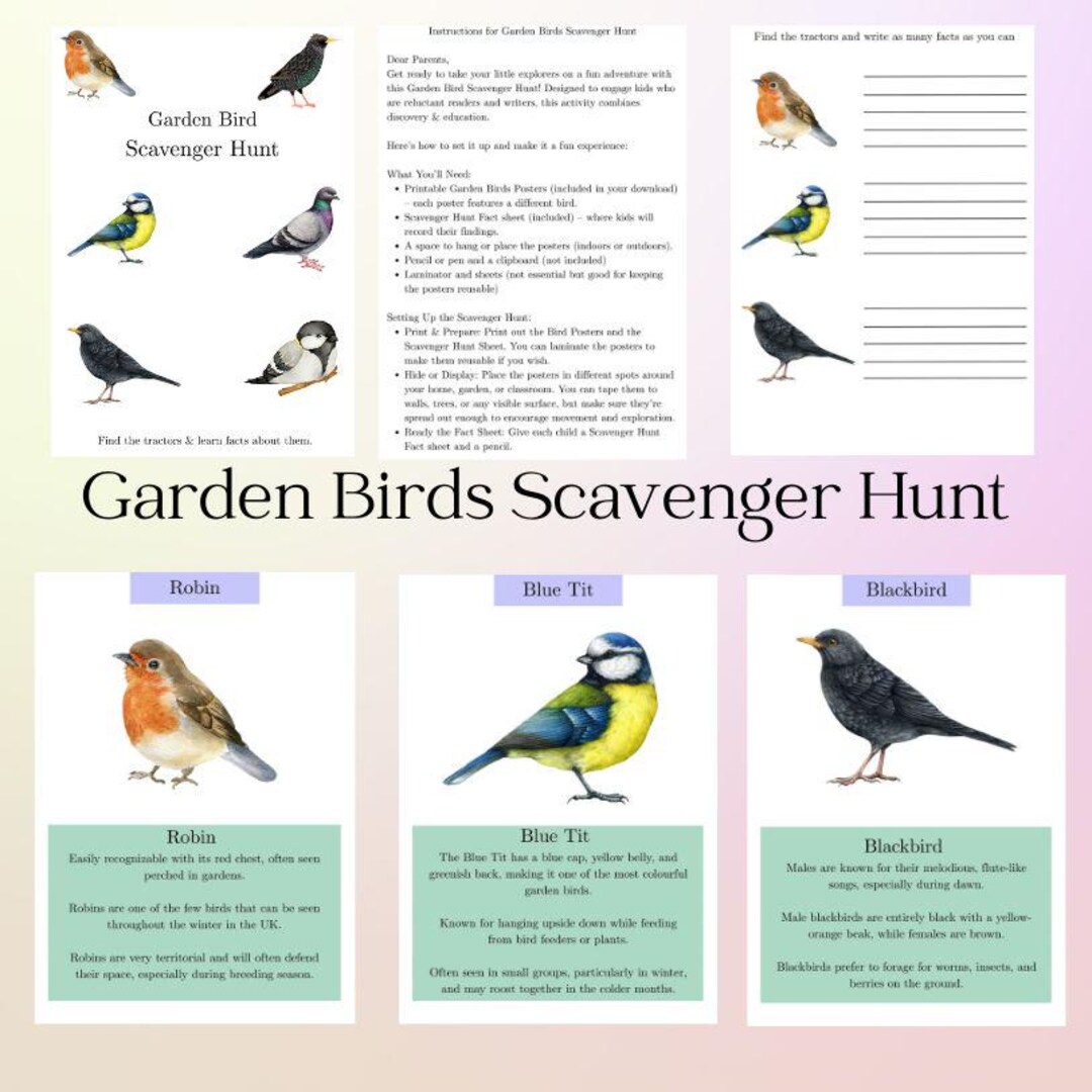 Printable Garden Birds Scavenger Hunt Nature Activity for Kids ...