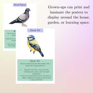 Printable Garden Birds Scavenger Hunt Nature Activity for Kids ...
