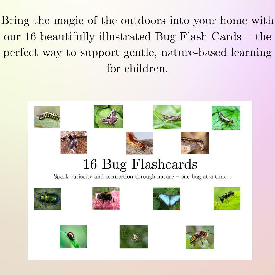 Printable Bug Flash Cards for Preschool and Early Years Nature Learning ...