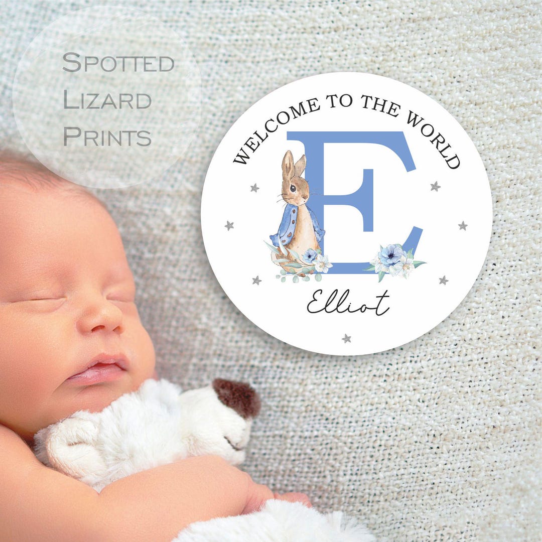 Peter Rabbit New Baby Arrival Disc Hello World My Name Is, New Baby ...