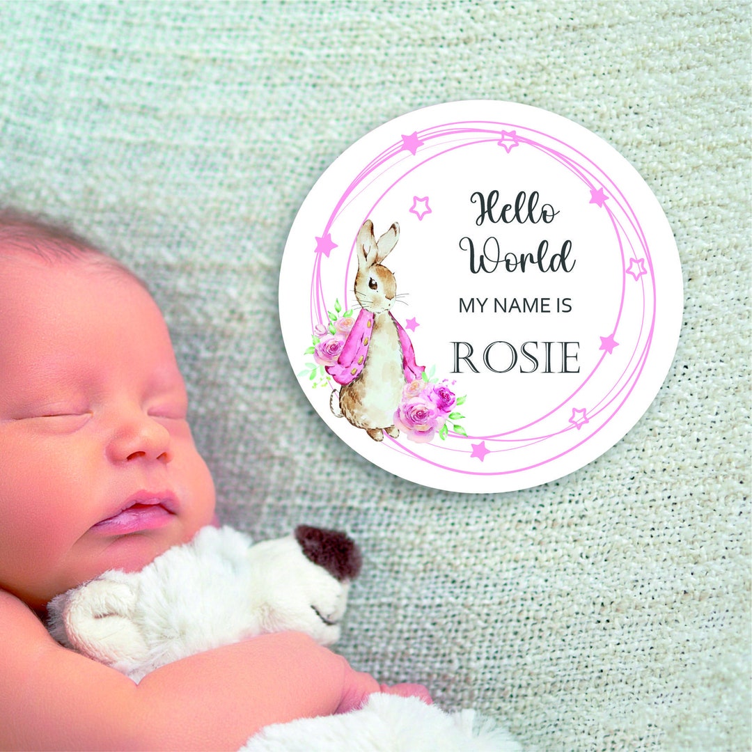 Peter Rabbit New Baby Arrival Disc Plaque Hello World My Name Is, New ...