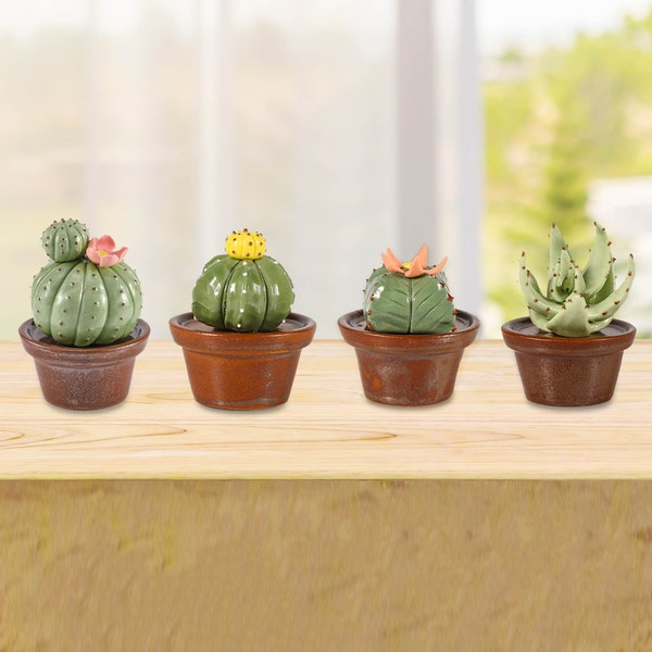 Miniature Cactus - Etsy