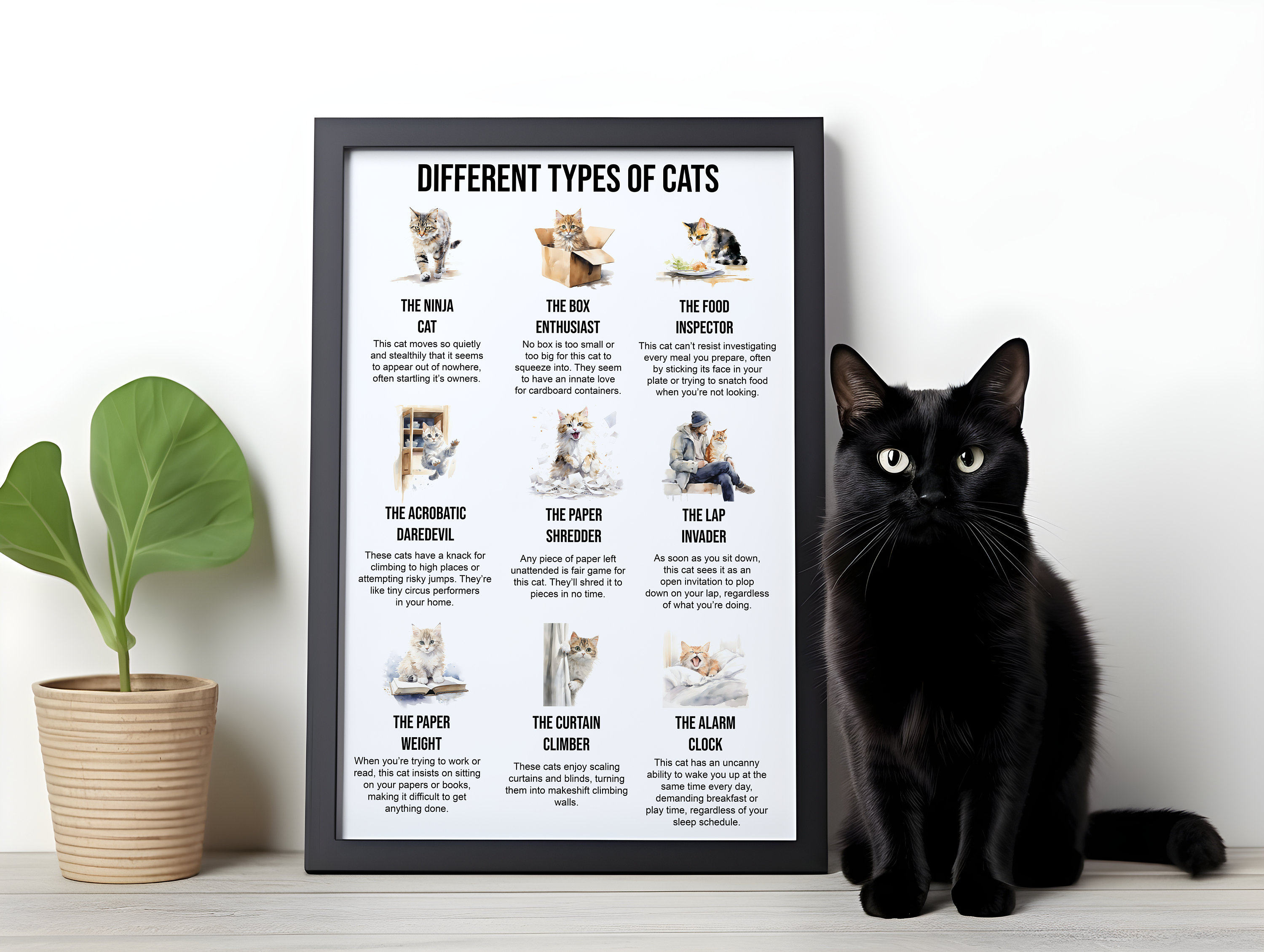 Funny Different Types of Cats Poster Humorous Cat Wall Art Funny Cat ...