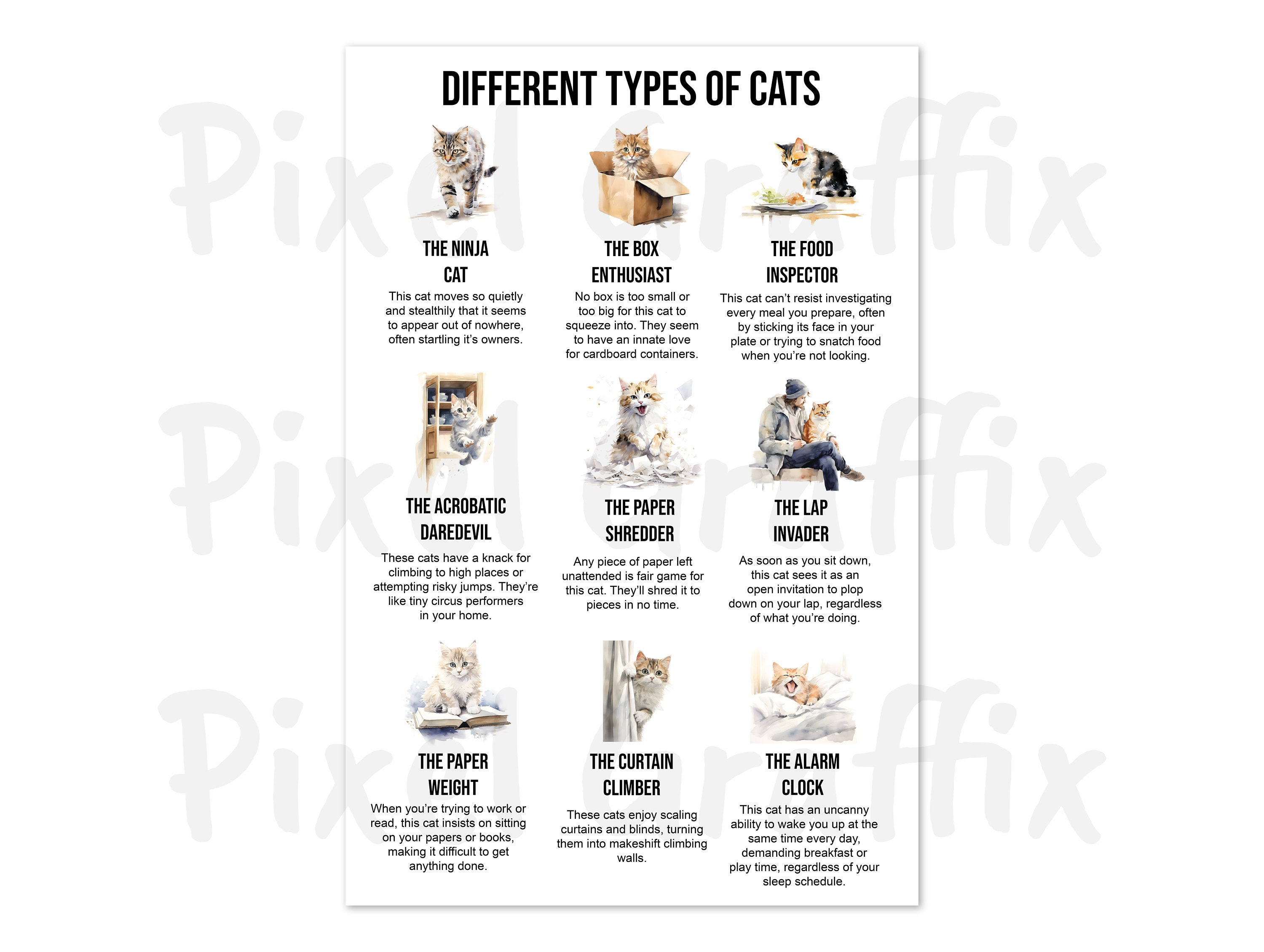 Funny Different Types of Cats Poster Humorous Cat Wall Art Funny Cat ...