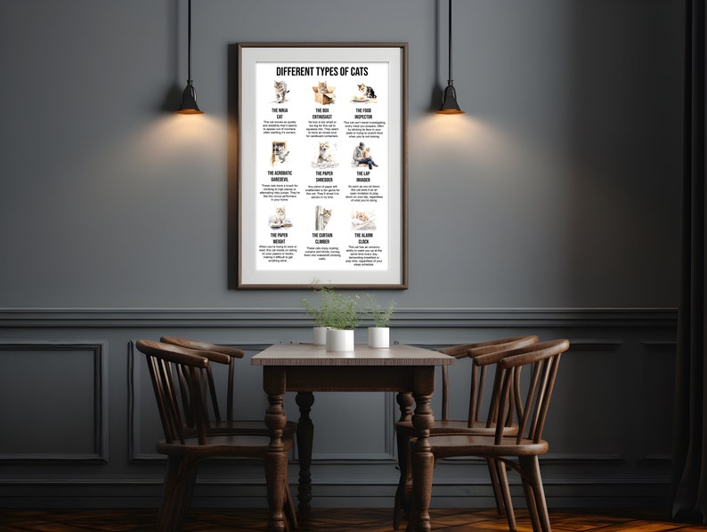 Funny Different Types of Cats Poster Humorous Cat Wall Art Funny Cat ...