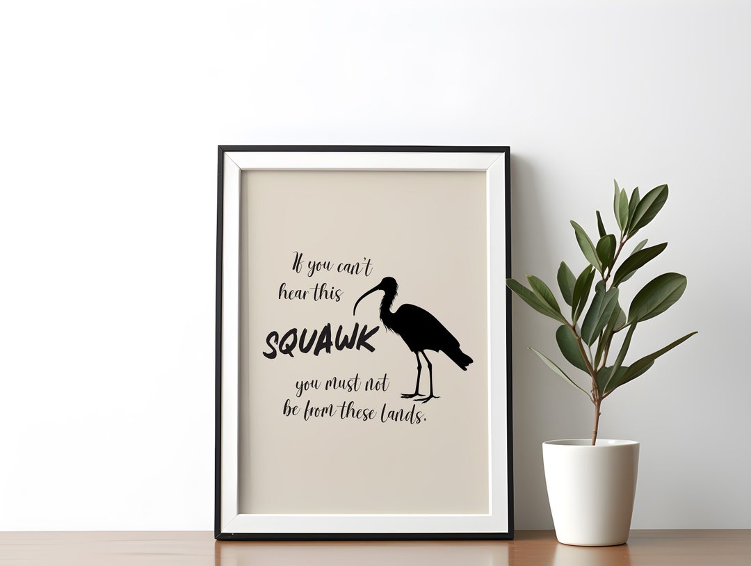 Funny Bird Poster South African Wall Art Hadeda Ibis Poster South ...