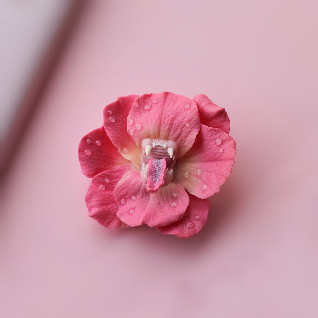Cherry Blossom Predatory Flower. Rose With Teeth and Tongue - Etsy