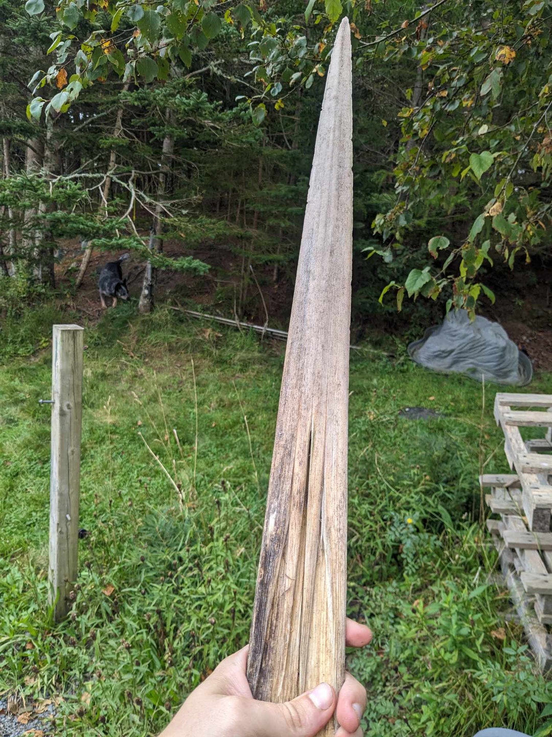 Swordfish Sword for Art Projects - Etsy