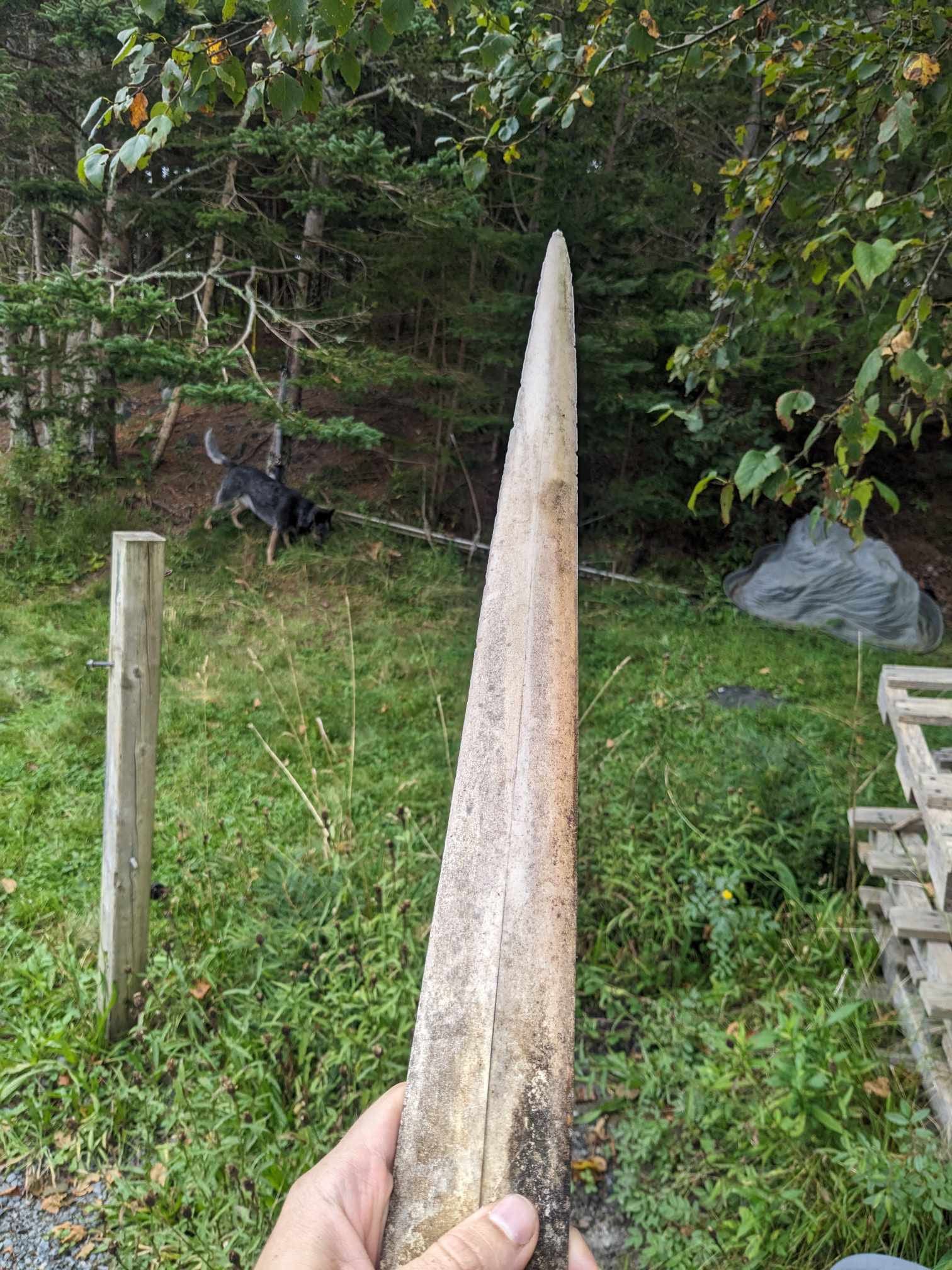 Swordfish Sword for Art Projects - Etsy