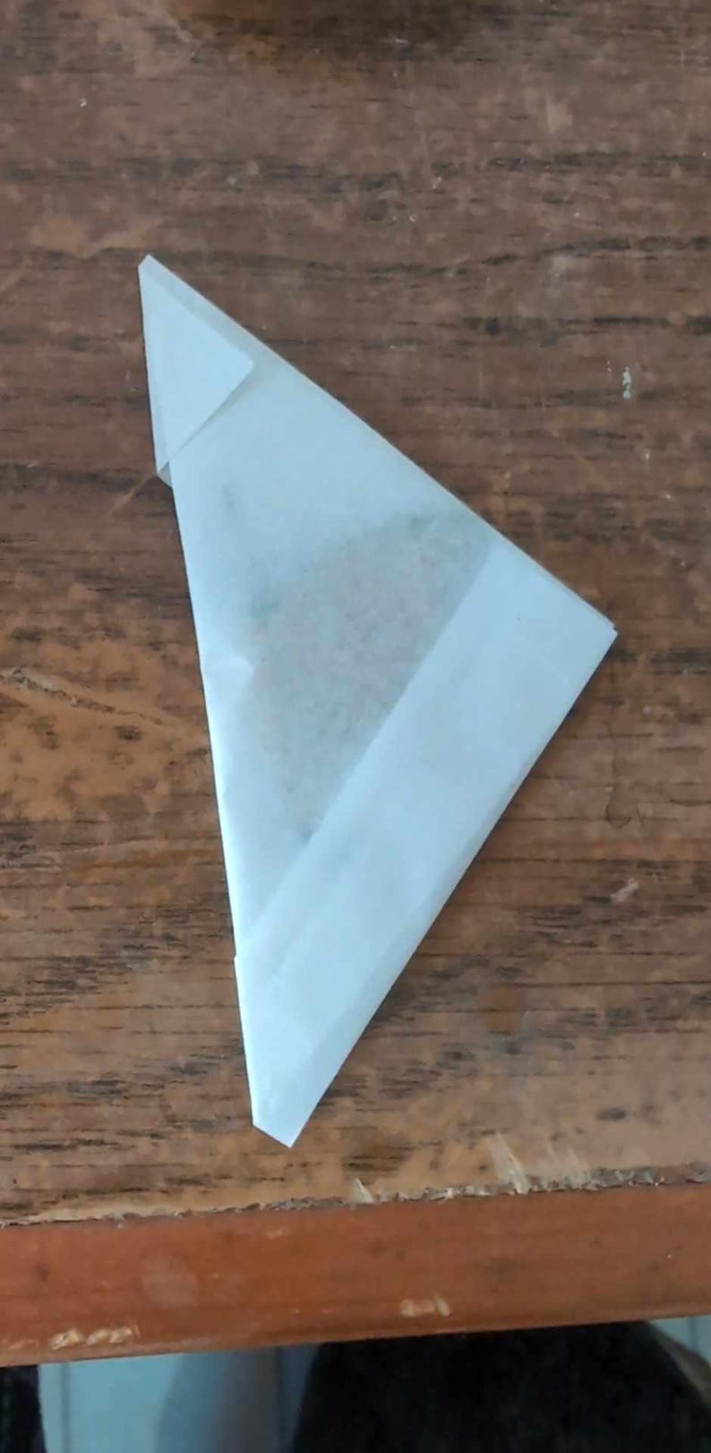 Yellow Coster Butterfly - Acraea Issoria A1 Unspread and Unmounted for ...