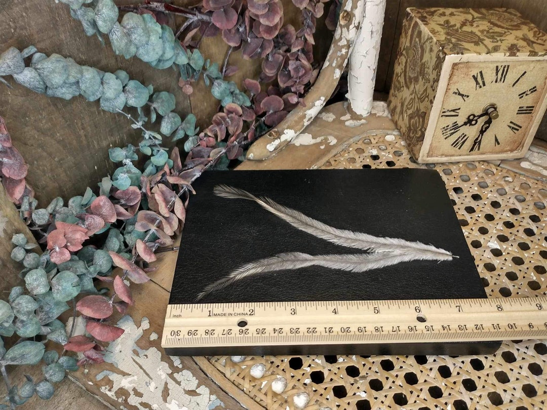 50 Emu Feathers for Craft Projects. - Etsy
