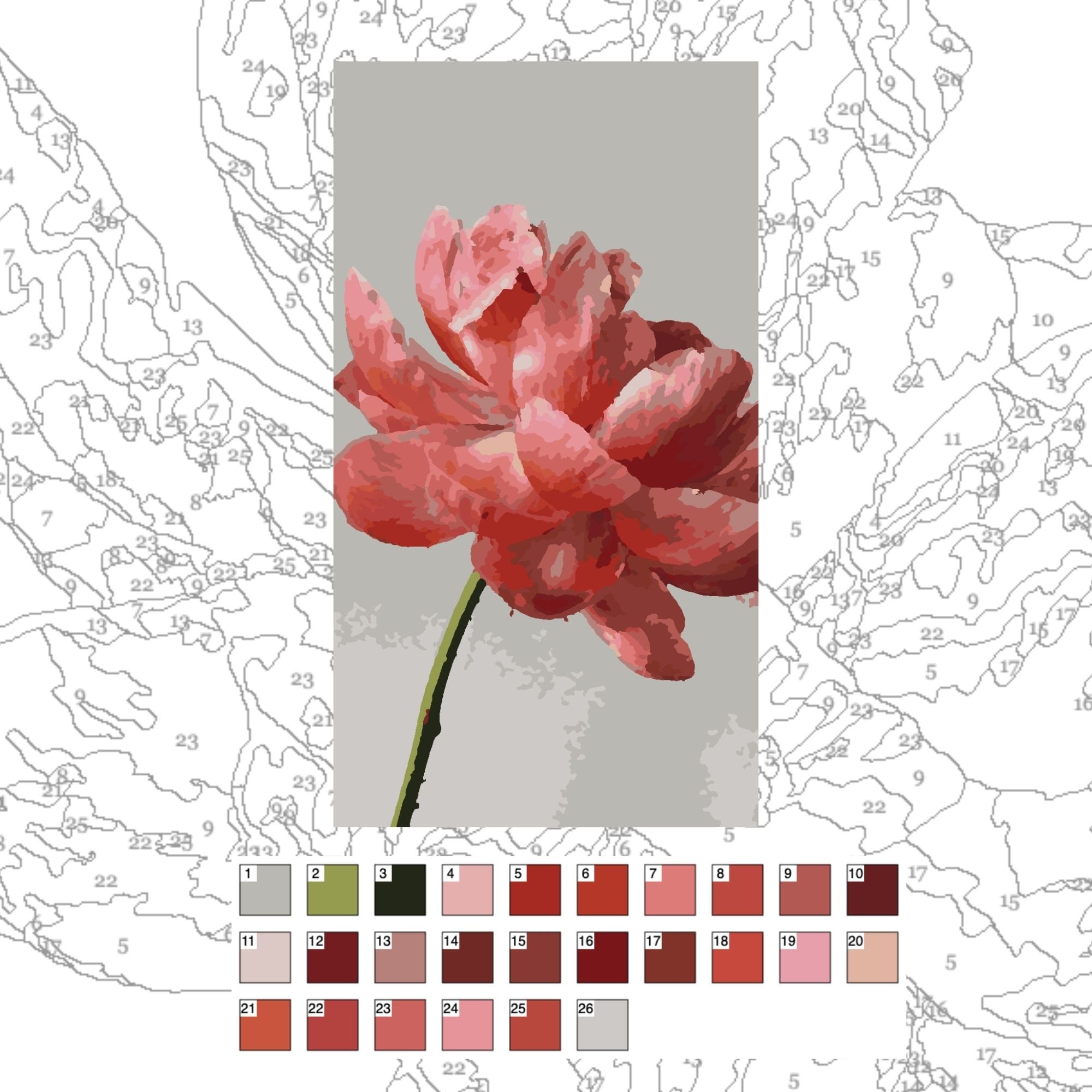 Peony Paint by Numbers Printable Paint Kit for Adult Color - Etsy