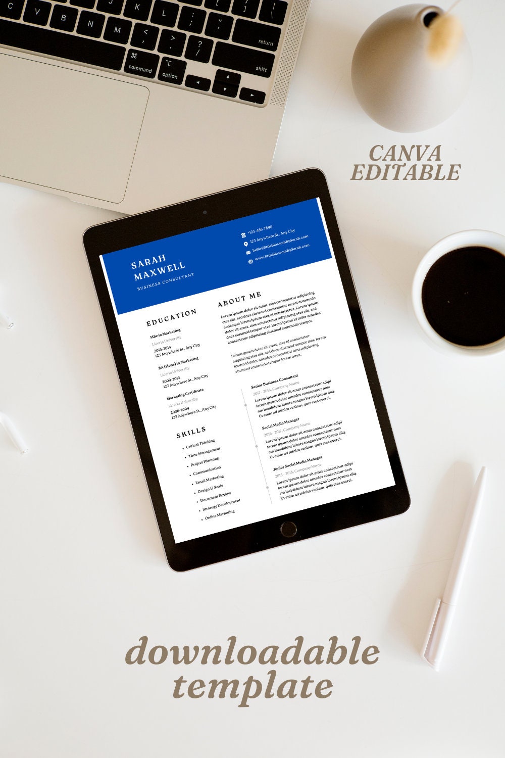 Editable Resume, Professional CV Template, Business Consultant Resume ...