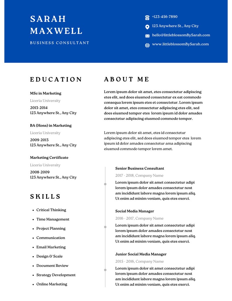 Editable Resume, Professional CV Template, Business Consultant Resume ...