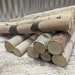 12" Birch Logs - Etsy