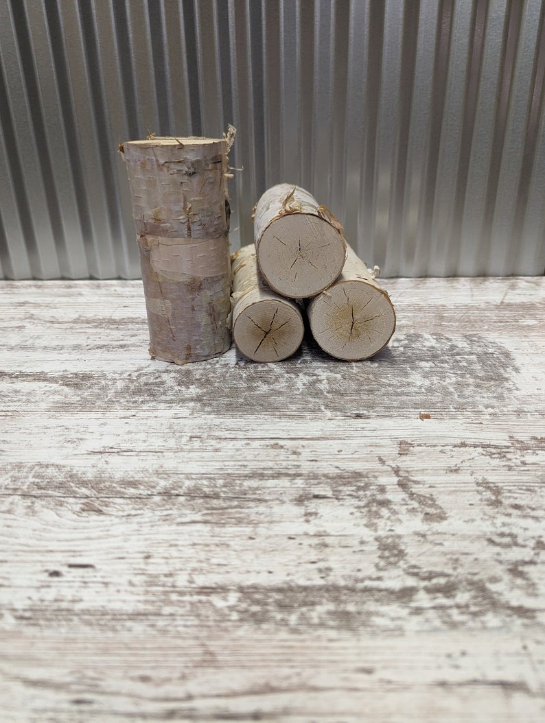 Medium Birch Pillar - Etsy