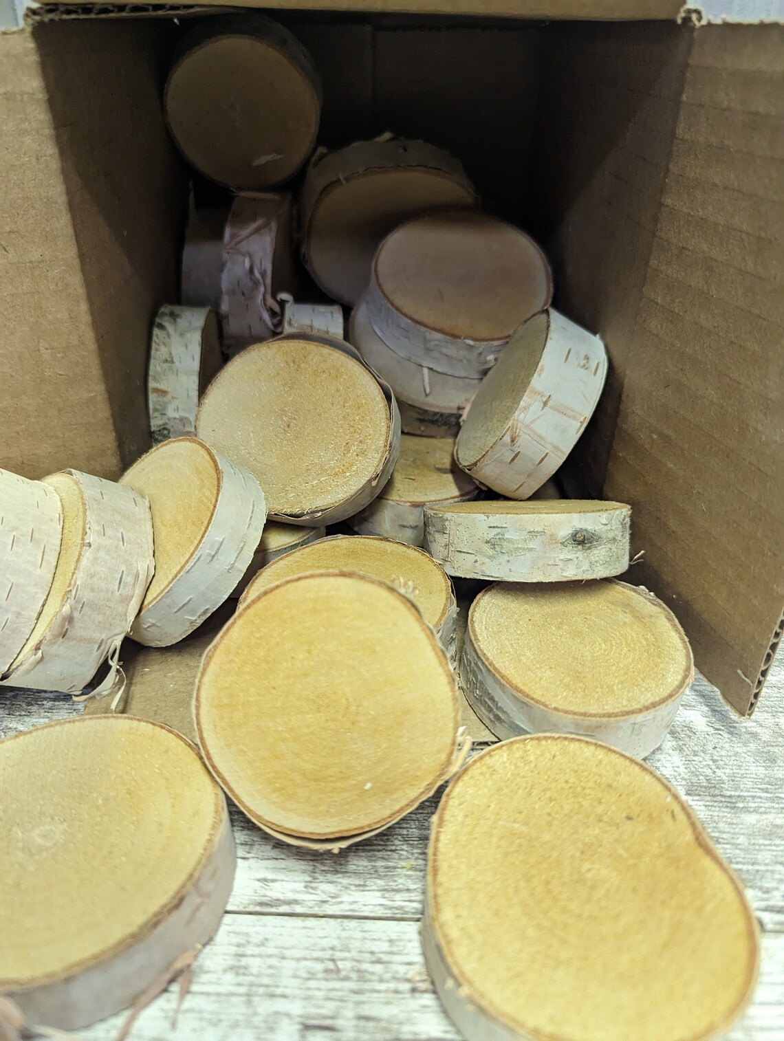 25 Natural Birch Disks, Birch Discs, Birch Slices, Birch Rounds; 2"-3 ...