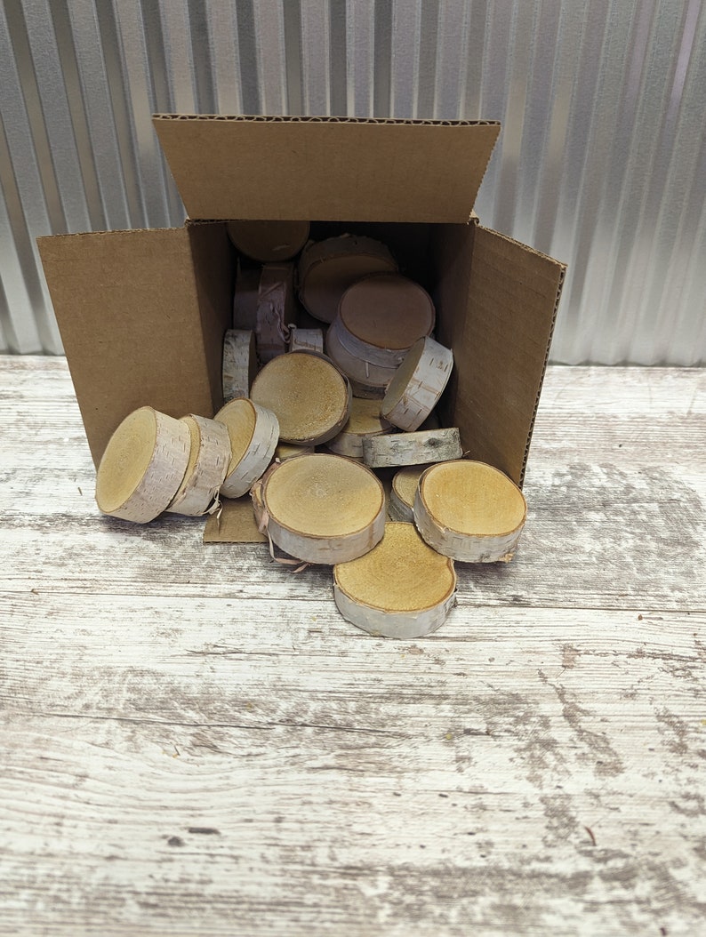 25 Natural Birch Disks, Birch Discs, Birch Slices, Birch Rounds; 2"-3 ...