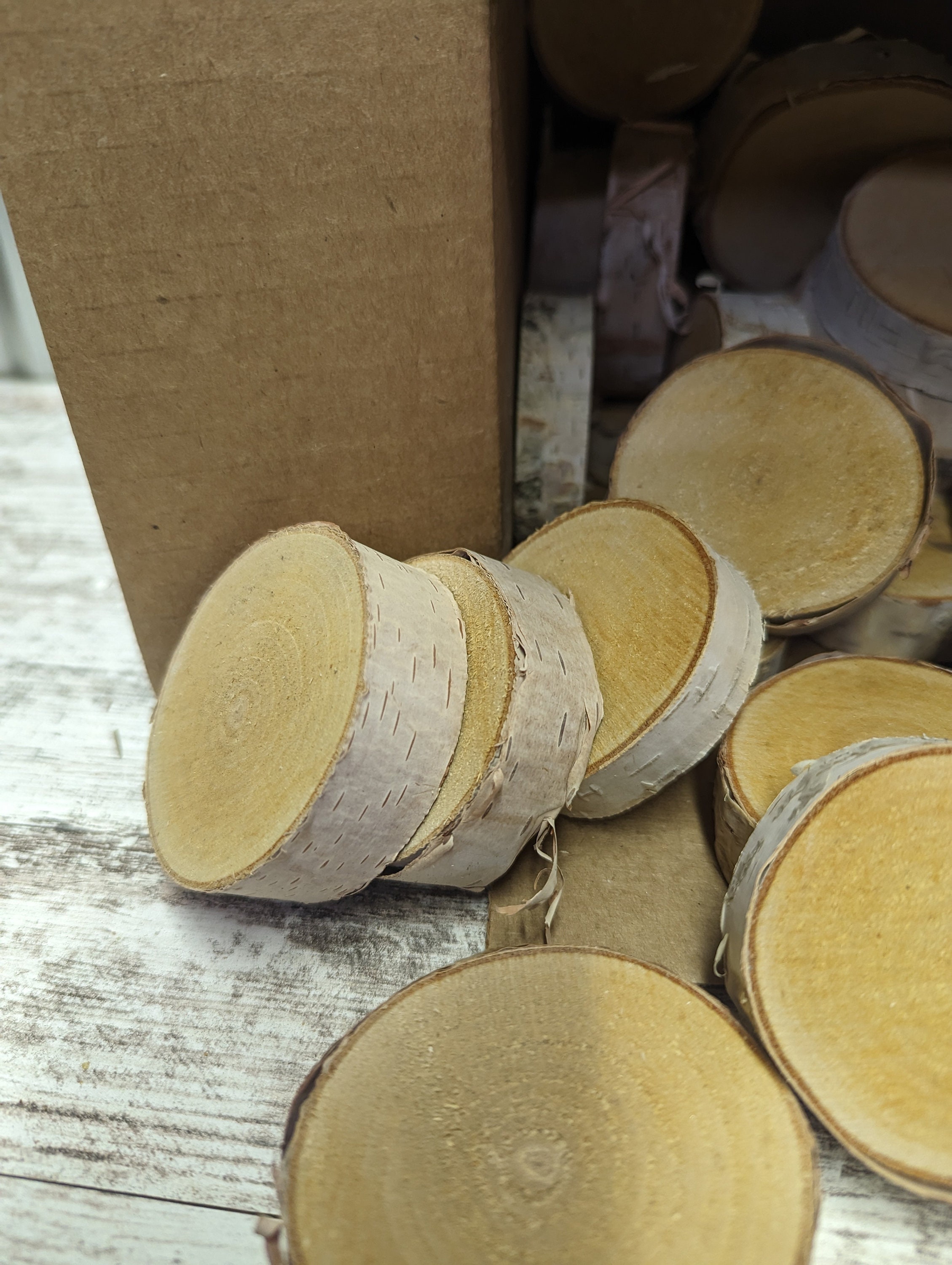 25 Natural Birch Disks, Birch Discs, Birch Slices, Birch Rounds; 2"-3 ...